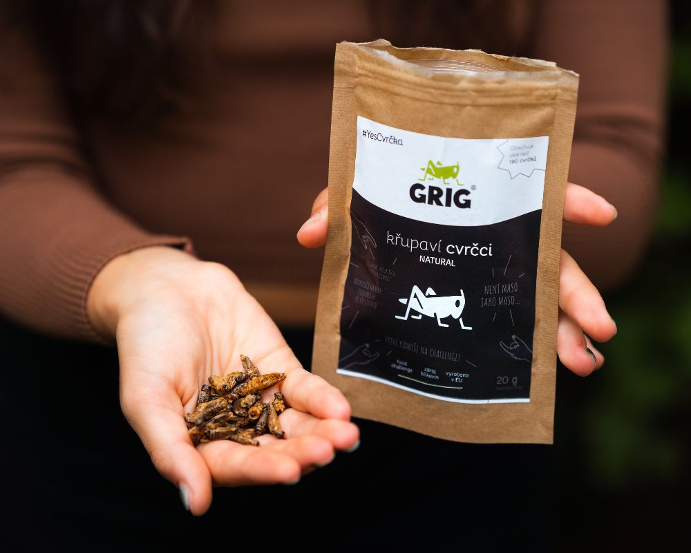 Ako sa vyrába sušený hmyz - Grig.sk